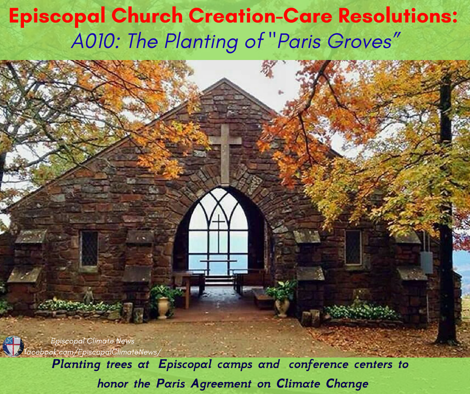 Church Resolutions: The Planting of “Paris Groves” – Episcopal Climate News